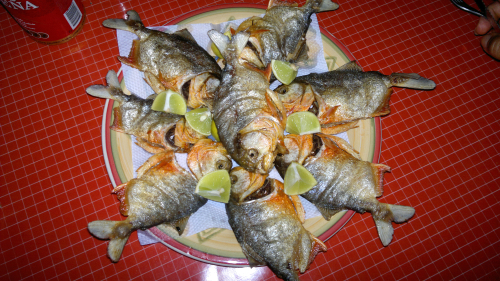 El sudao de pescado, la farofa y la piraña destacan en la gastronomía ...